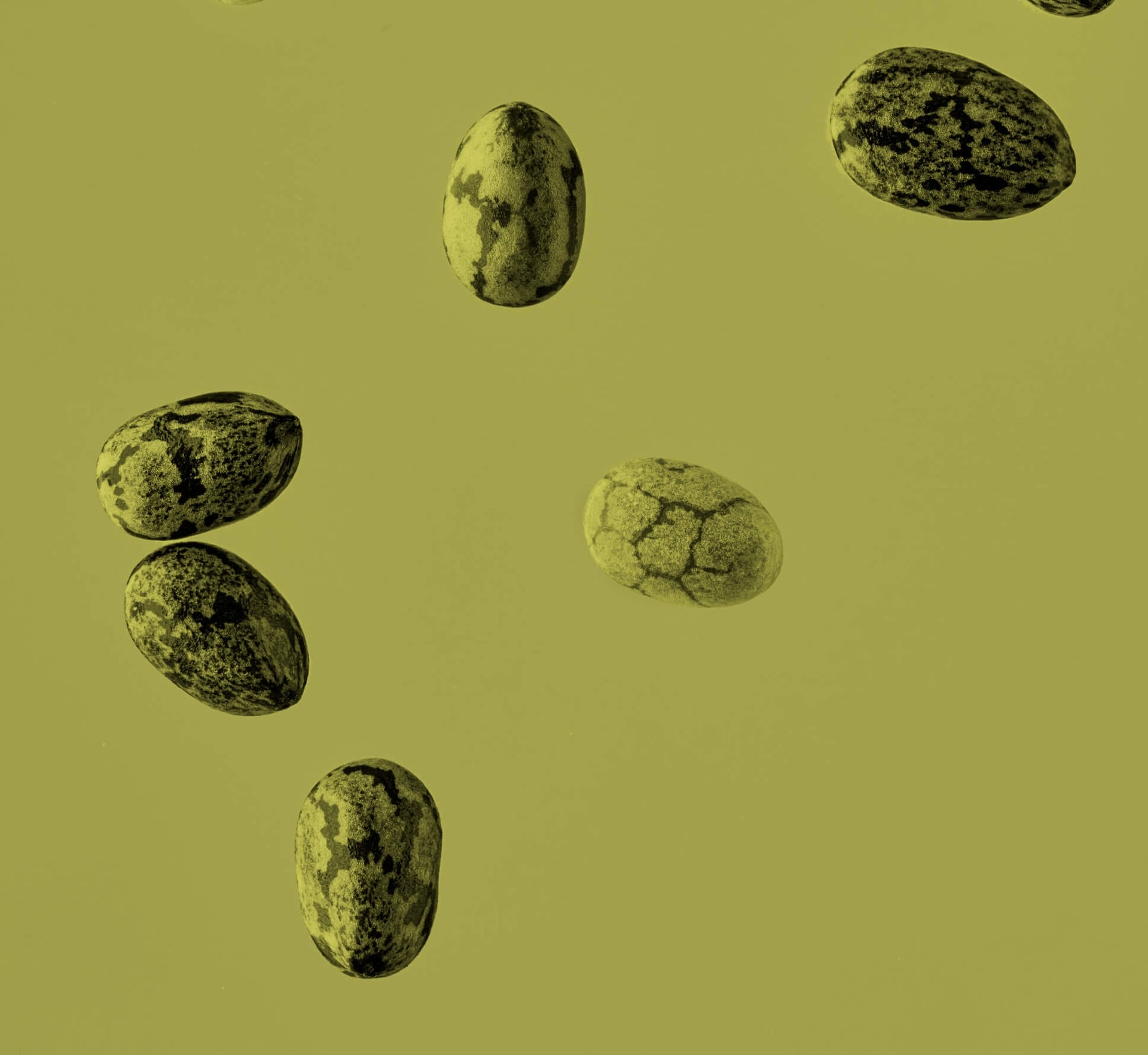 Ingredient Glossary – Cellre